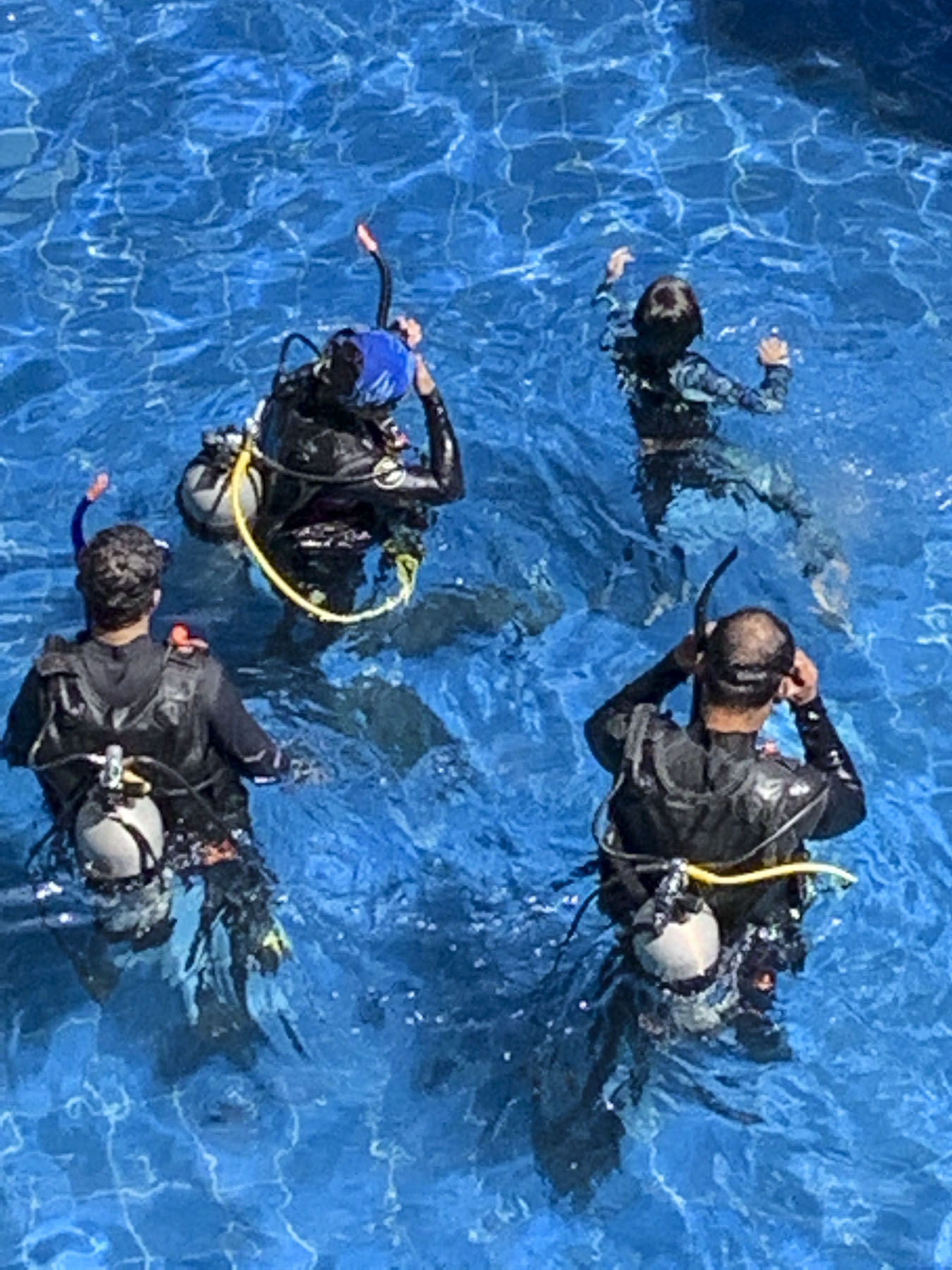 Aqua-Venture – Aqua Venture Dive Resort